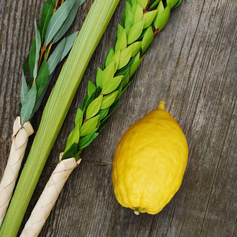 Affiliates - Esrog Direct