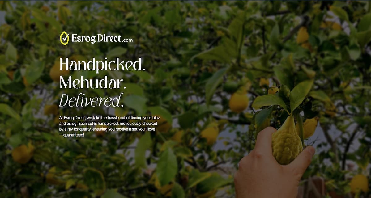 Esrog Direct - Premium Lulav and Esrog Sets for Sukkos - Fast Shipping!